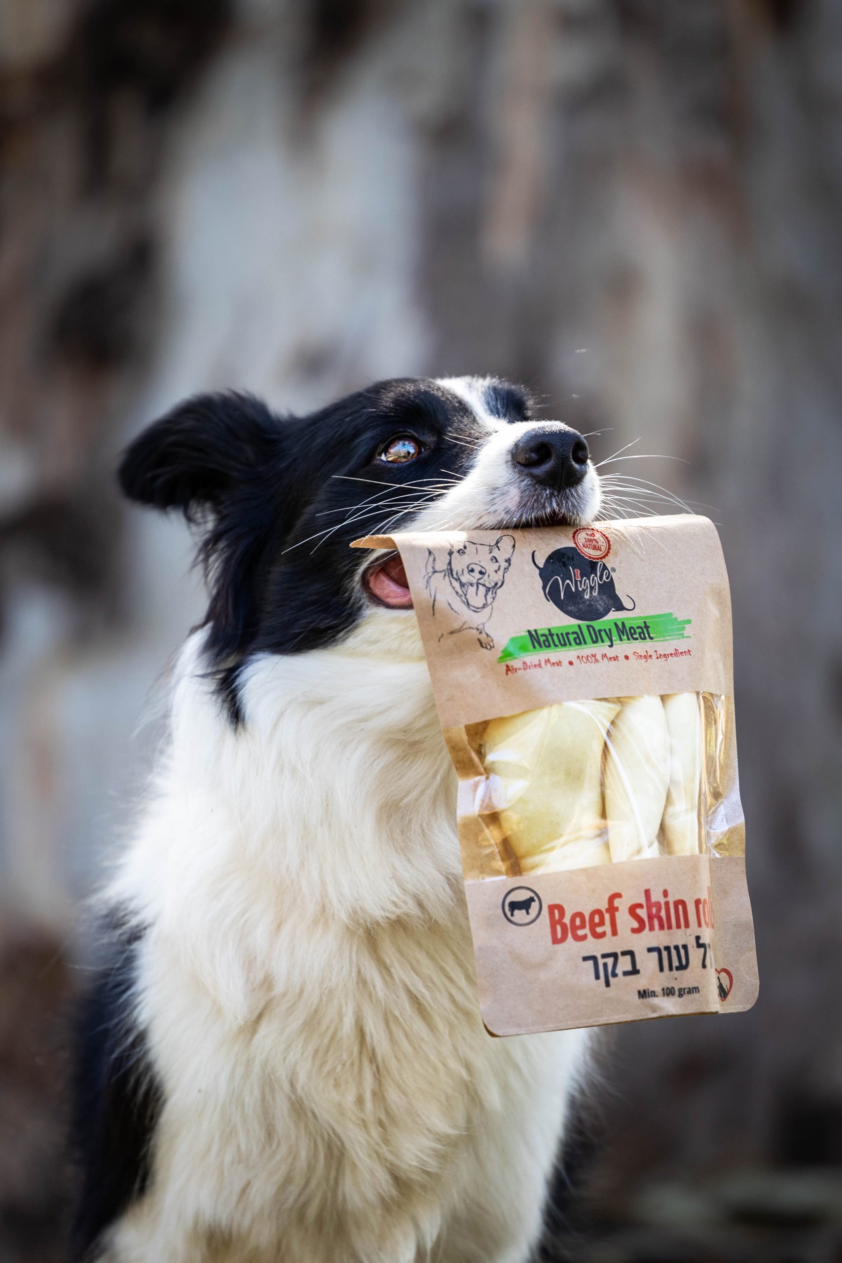 עמוד הבית 🐶 Spoiled dogs חנות חטיפים טבעיים לכלבים 🦴